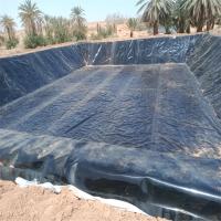 China Black HDPE Geomembrane 2.0mm for Waterproofing Dam Liner in Kenya Fish Farm Shrimp Pond for sale