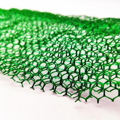 China 2m HDPE Geomat for Slope Protection and Grass Erosion Control A B2B Buyer's Choice for sale