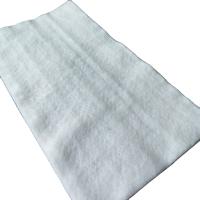 China White Non Woven Geotextile 100% Polyester PET Staple Fiber Needle Punched 100g 200g 300g for sale