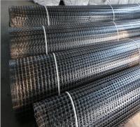 China High Tensile Strength Plastic Biaxial Geogrid for Reinforcement in Mining Industry for sale