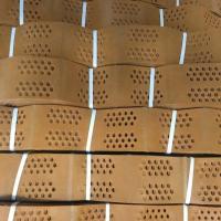 China Perforated Geocell Plastic Paver Grid for Retaining Walls and Ground Gravel at Best for sale