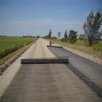 China 1m Roll Width Asian Design PE Uniaxial Fence Mesh Geogrid for Road Driveway Reinforcement for sale