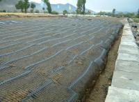 China 1m Roll Width Asian Design PE Uniaxial Fence Mesh Geogrid for Road Driveway Reinforcement for sale