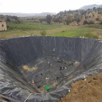 China 2m-8m Width Agricultural HDPE Geomembrane Fish Farm Pond Liner for High Flexibility for sale