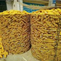 China 20KN PP Biaxial Geogrid for Road Reinforcement Black Color and Onsite Training Service for sale