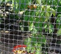 China Achieve Optimal Ground Stabilization with Biaxial Stretch Geogrid Fence Reinforcement for sale