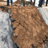 China ASTM Standard HDPE Geocell Gravel Grid with 50mm Height and Textured Smooth Surface for sale