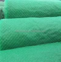 China Plastic 3D Geomat Erosion Control Mat with 30m Length and Onsite Training for sale