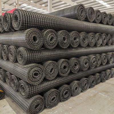 China Black Bidirectional Geogrid Plastic Net for Chicken and Duck Enclosure in Warehouse for sale
