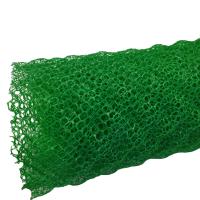 China Vegetation Mattress Plastic 3D Geomat for Landscape Grass Erosion Control HDPE Geomat for sale