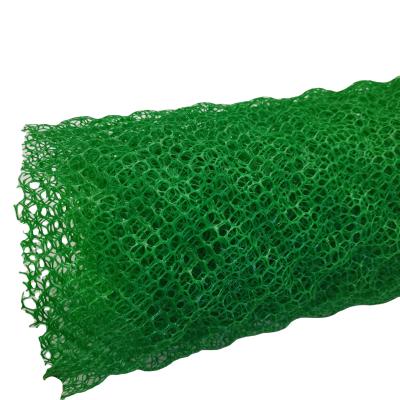 China Vegetation Mattress Plastic 3D Geomat for Landscape Grass Erosion Control HDPE Geomat for sale