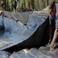 China 100% Virgin HDPE LLDPE Raw Material Wantong 0.5mm Geomembrane for Landfill Pond Liner for sale