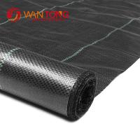 China High Tensile Strength 320g PP Woven Geotextile for Soil Reinforcement CE ISO Certified for sale