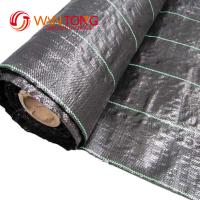 China High Tensile Strength 320g PP Woven Geotextile for Soil Reinforcement CE ISO Certified for sale
