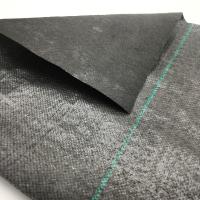 China High Tensile Strength 320g PP Woven Geotextile for Soil Reinforcement CE ISO Certified for sale