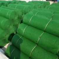 China 3d Geomat Plastic for Slope Erosion Resistance and Onsite Installation CE/ISO Certified for sale