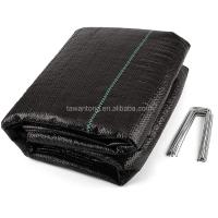 China Design Style Green Line Black Plastic PP Woven Geotextile Anti Weed Mat for Landscape Custom Length for sale