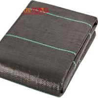 China Design Style Green Line Black Plastic PP Woven Geotextile Anti Weed Mat for Landscape Custom Length for sale