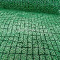 China Contemporary Design Plastic 3D Geomat for Erosion Control and Slope Protection Net for sale
