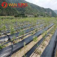 China CE Certified 100% PP High Strength Woven Silt Fence Fabric Geotextile for Construction for sale
