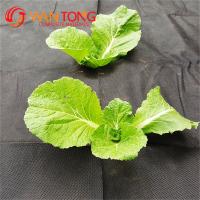 China CE Certified 100% PP High Strength Woven Silt Fence Fabric Geotextile for Construction for sale