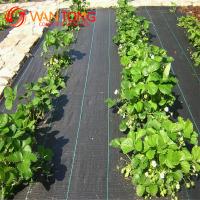 China CE Certified 100% PP High Strength Woven Silt Fence Fabric Geotextile for Construction for sale