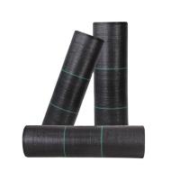 China PP High Tensile Strength 70GSM-400GSM Woven Geotextile for Blueberry Garden Weed Control for sale