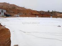 China Road Construction Non Woven Geotextile Fabric with ISO9001 ISO14001 BV Certification for sale