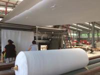 China Road Construction Non Woven Geotextile Fabric with ISO9001 ISO14001 BV Certification for sale