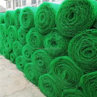 China Contemporary Design Green Geomat for Erosion Control in Construction and Landscaping for sale