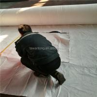 China Polyester Nonwoven Geotextile 250gsm Needle Punched Fabric Long Fiber Short Fiber 400g for sale