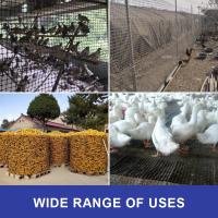 China CE/ISO9001 Certified PP Biaxial Geogrid for Mining and Civil Engineering Construction for sale