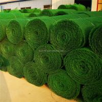 China Contemporary Design Plastic Geomat HDPE 3D Erosion Control Mat for Slope Protection for sale
