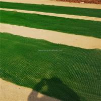 China Contemporary Design Plastic Geomat HDPE 3D Erosion Control Mat for Slope Protection for sale