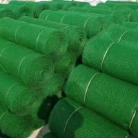 China Green Protection and Customized Soil Protection with 3D Geomat Black Anti-Corrosion Pad for sale
