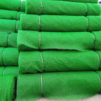 China Green Protection and Customized Soil Protection with 3D Geomat Black Anti-Corrosion Pad for sale
