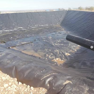 China 1.0mm Thickness HDPE Geomembrane Plastic Lake Tank Dam Lining for After-sale Service for sale