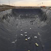 China 0.75mm 1mm HDPE Fish Shrimp Farming Pond Geomembrane Liner with and Onsite Installation for sale