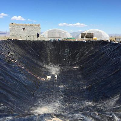 China Contemporary Design Style 40mil or 1mm Smooth Geomembrane HDPE Pond Liner Onsite Training for sale