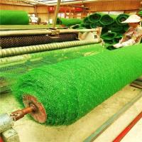 China Three-Dimensional Geomat for Slope Erosion Control Reinforcement CE/ISO9001 Certified for sale
