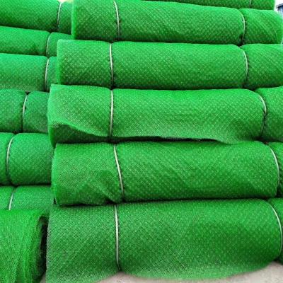 China Greening Mat 50m Chinese Design 3D Geomat for Slope Protection and Vegetation Mat for sale