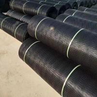China Greening Mat 50m Chinese Design 3D Geomat for Slope Protection and Vegetation Mat for sale