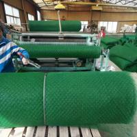 China Greening Mat 50m Chinese Design 3D Geomat for Slope Protection and Vegetation Mat for sale