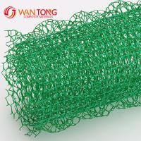 China CE/ISO9001/ISO14001 Certified Plastic 3D Vegetation Net Grass Paver Geonet for Slope Protection for sale
