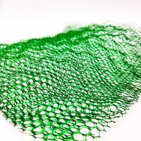 China CE/ISO9001/ISO14001 Certified Plastic 3D Vegetation Net Grass Paver Geonet for Slope Protection for sale