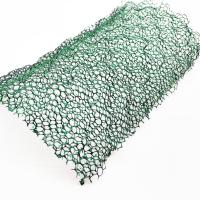 China CE/ISO9001/ISO14001 Certified Plastic 3D Vegetation Net Grass Paver Geonet for Slope Protection for sale