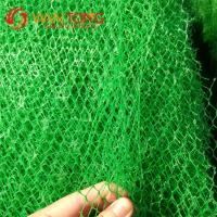 China HDPE PP Erosion Control 3D Vegetative Cover Geomat Grass Paving for Slope Protection for sale