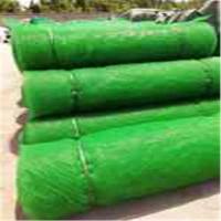 China HDPE PP Erosion Control 3D Vegetative Cover Geomat Grass Paving for Slope Protection for sale
