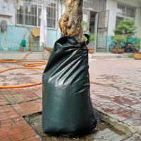 China Other Watering Irrigation PVC Tree Watering Bag for Newly Planted Trees for sale