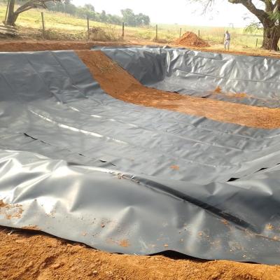 China 1mm HDPE Geomembrane Fish Farm Pond Liner Waterproof Roll Raw Material 100% Virgin HDPE for sale